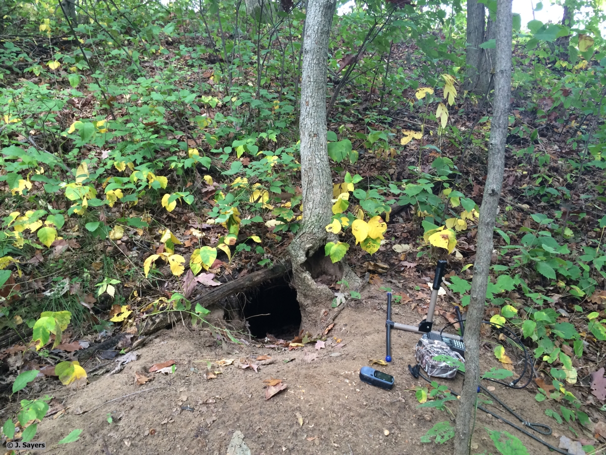 Badger burrow - Fort Frances Times