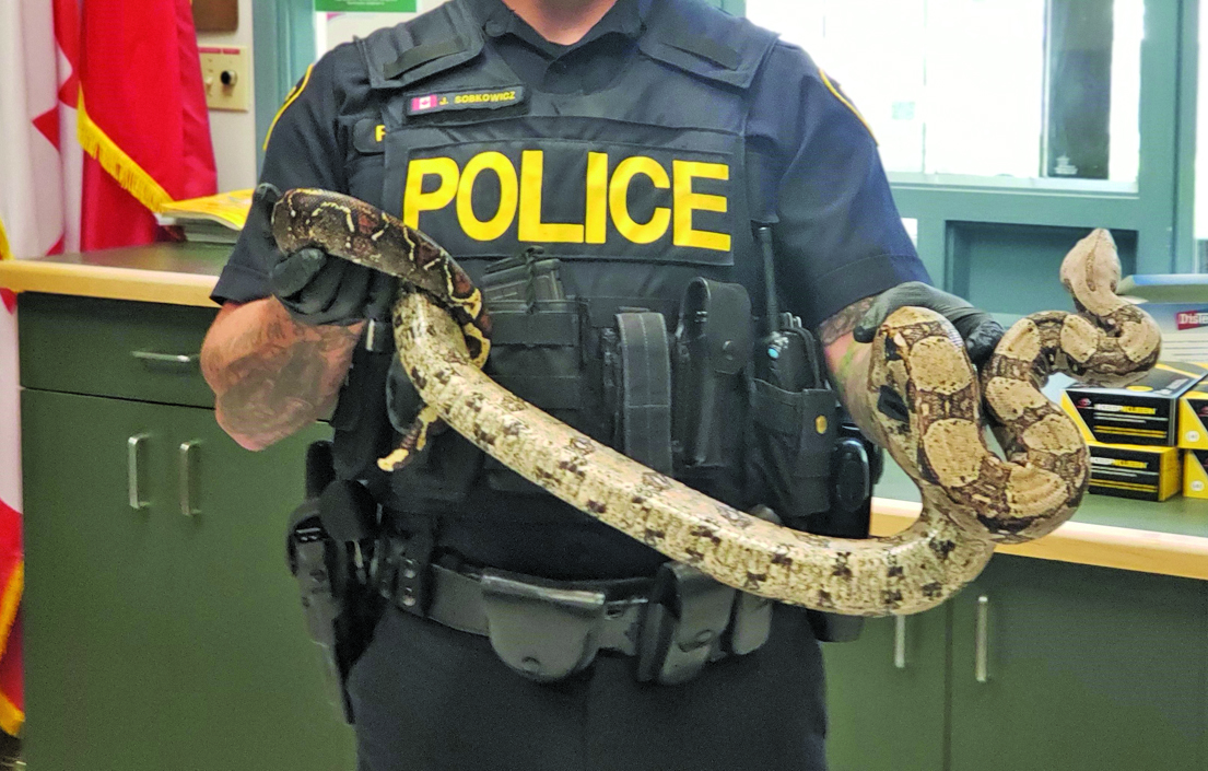 OPP seek public assistance - Fort Frances Times