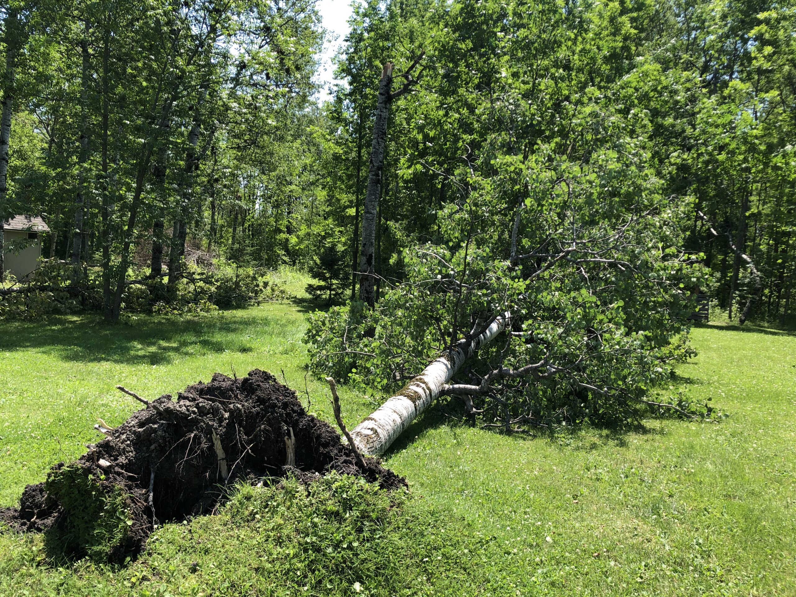 Wind shear and hail storm hits hard across district - Fort Frances Times